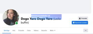 Bildergalerie - Dogo Yaro