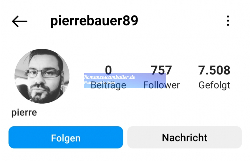 Bildergalerie - Fake pierre